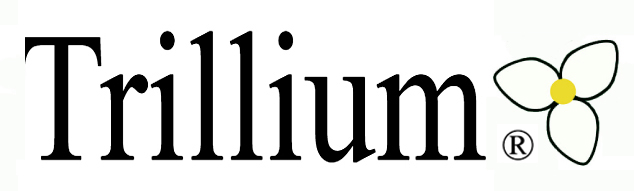 Trillium : i.Frame, Design and Distribution of Fashion Forward ...